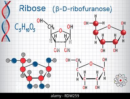 Chemical Structure of Ribose Sugar Molecule. Vector Illustration Stock ...