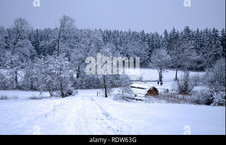 Beautiflul snow-covered winter landscape in Bavaria, Germany Stock ...