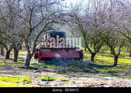 A Flory Pow'RTrak shredder machine that picks up and grinds tree ...