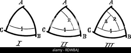 . Botany for high schools and colleges. Botany. 38 BOTANY. 32.—The ...