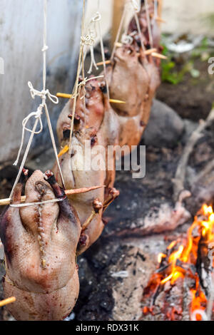 Wild Geese cooking, Traditional Indigenous method, Northern Quebec ...