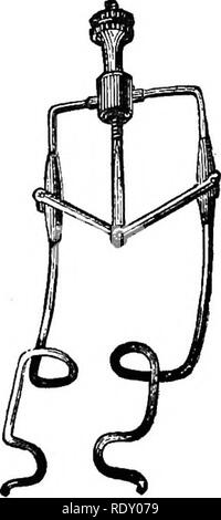 . Manual of operative veterinary surgery. Veterinary surgery. Fig. 369 ...