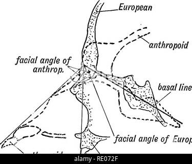 . Human embryology and morphology. Embryology, Human; Morphology ...