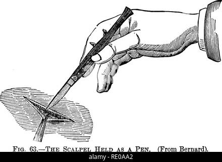 . Anatomy of the cat. Cats; Mammals. 62 THE SKELETON OF THE CAT ...