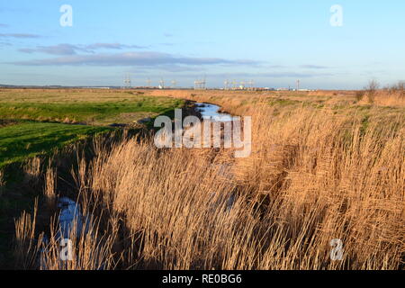 Cliffe marsh, north Kent, on a clear, cold winter late afternoon in ...