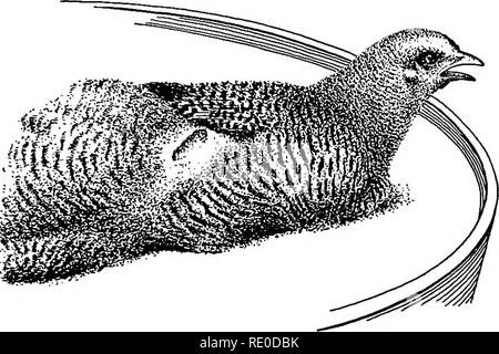 . Fig. 64. The spreader removed and the weights taken off the wings ...