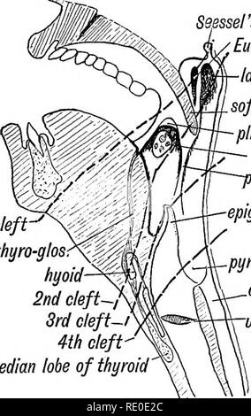 . Human embryology and morphology. Embryology, Human; Morphology ...