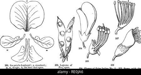 Cultivated flower arrangement displayed in Hertford Street,Mayfair ...