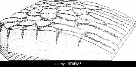 . An Ecological land classification framework for the United States ...