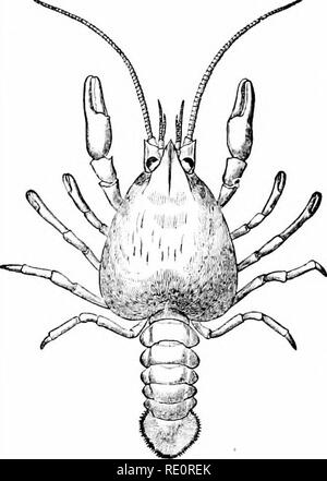 . An introduction to the study of zoology : by T. H. Huxley, F. R. S ...