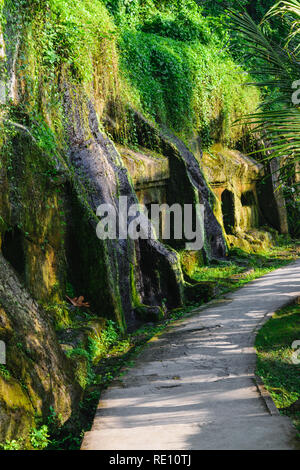Path through the jungle in Bali Stock Photo - Alamy
