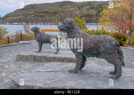 Newfoundland and Labrador dog statue, Harbourside Park, St John’s ...