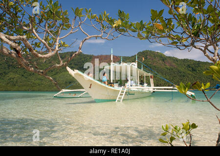 Snake Island (also known as Vigan Island) - Palawan, Philippines Stock ...