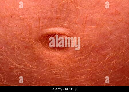 Male Belly button Stock Photo - Alamy