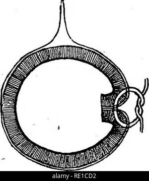 . Surgical diseases and surgery of the dog. Dogs. The Head and Neck 67 ...