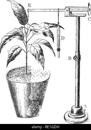 x-ray indicator light Stock Photo - Alamy