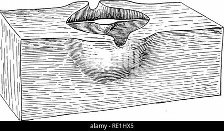 . Experiments with plants. Botany. through these pits (which are ...