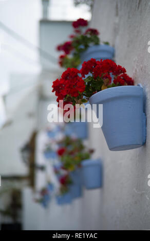 Colorful flower pots in the Marbella old town. Marbella is a city in ...