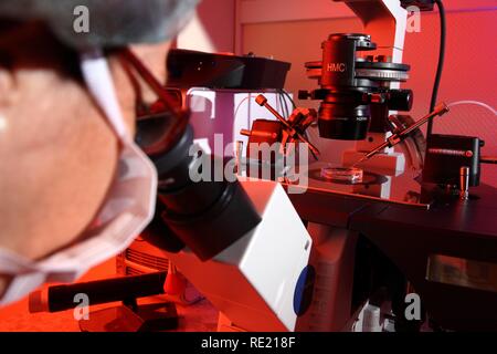 Artificial insemination using the ICSI method, intracytoplasmic sperm ...