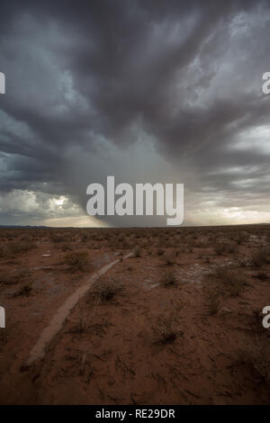 Otero Mesa, Otero County, New Mexico, USA Stock Photo - Alamy