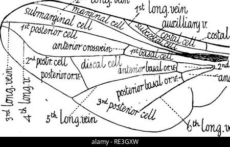 . Entomology for medical officers. Insect pests; Insects as carriers of ...