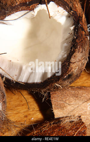 coconut shell and flesh Cocos nucifera Stock Photo - Alamy