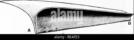 . The structure and life of birds. Birds; Evolution. THE STRUCTURE AND ...