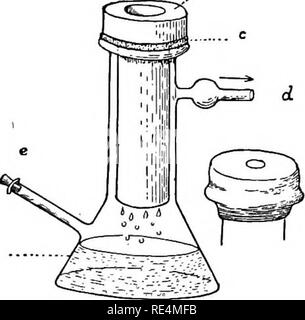 . Manual of bacteriology. Bacteriology. FjG. 42. — Muencke's ...