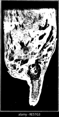 . Pure milk and the public health; a manual of milk and dairy ...