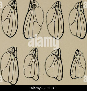 . A critique of the theory of evolution. Evolution. 168 THEORY OF ...