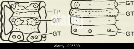 . The earthworms (lumbricidae and sparganophilidae) of Ontario ...