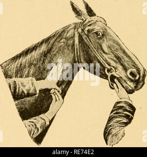 . A course in surgical operations for veterinary students and ...
