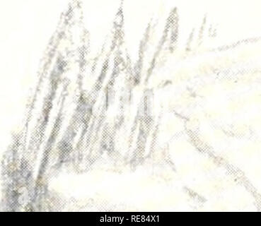 . The early herdsmen. Prehistoric peoples. How the People Tethered Two ...