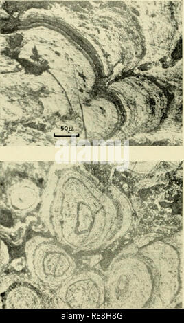 Manganese nodule. minerals. Pacific Ocean, 3 mile depth, 1000 mi W of ...