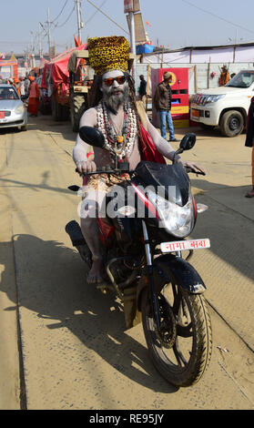 Allahabad, India. 20th Jan, 2019. Sadhus feed an elephant at their tent ...