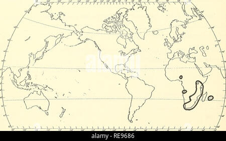 Natal fruit fly Ceratitis rosa larvae damage to satsuma citrus fruit ...