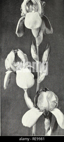 Strawberry Falls Oregon Stock Photo - Alamy