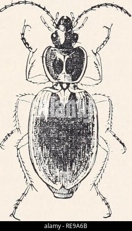 . Control of household insects and related pests. Household pests ...