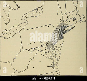 The chestnut blight, caused by a fungal disease, has devastated ...