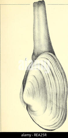 . Contributions to Canadian biology. Marine biology; Natural history ...