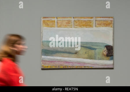 Pierre Bonnard The Bath Stock Photo - Alamy