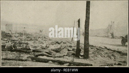 . Conservation. Forests and forestry. AT THE CHISHOLM FIRE After It Was ...
