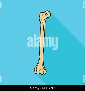 broken,fibula,shin,tibia,fracture,leg,pain,femur,surgery,bone,skeleton ...