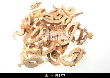 Medicinal plant Morus, mulberry, Morusbark, (Morus cortex, Morus nigra ...