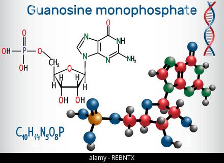 Guanosine monophosphate (GMP, guanylic acid) RNA building block ...