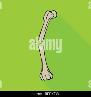 fracture,pain,bias,injury,connective,musculoskeletal,fiber,scientific ...