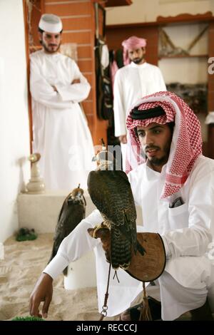 Hunting falcons in a specialist shop for falconry, Souq al Waqif market ...