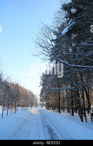 The road goes into the distance Stock Photo - Alamy