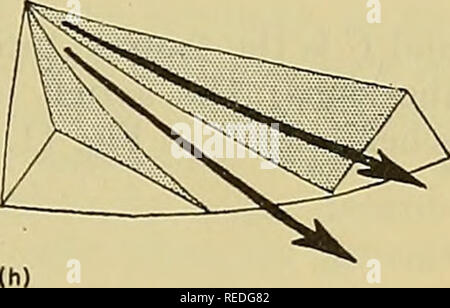 . Compendium of meteorology. Meteorology. VALLEY WIND -â¦ MOUNTAIN WIND ...
