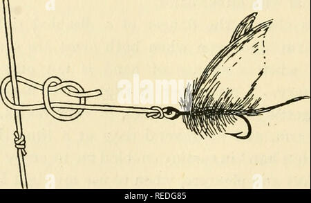 Fly fishing lure made from feathers selected cut and tied to a barbed ...